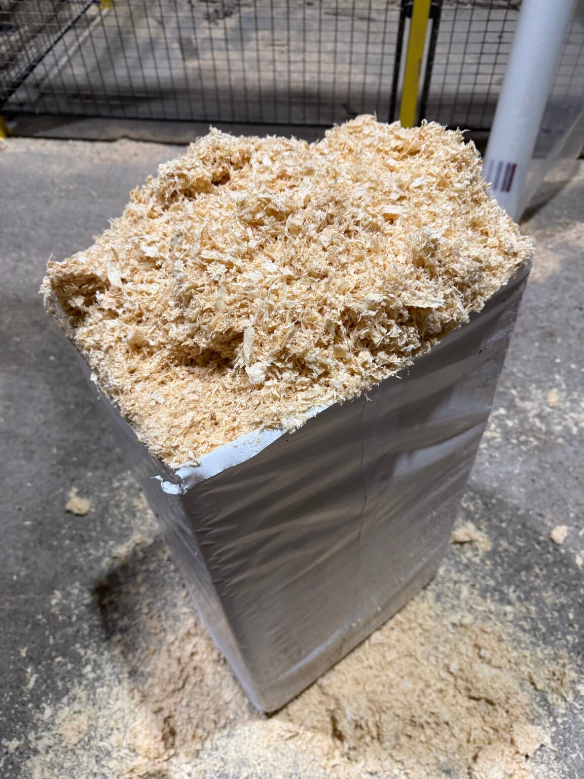 Brian Lears Wood Shavings | exclusive